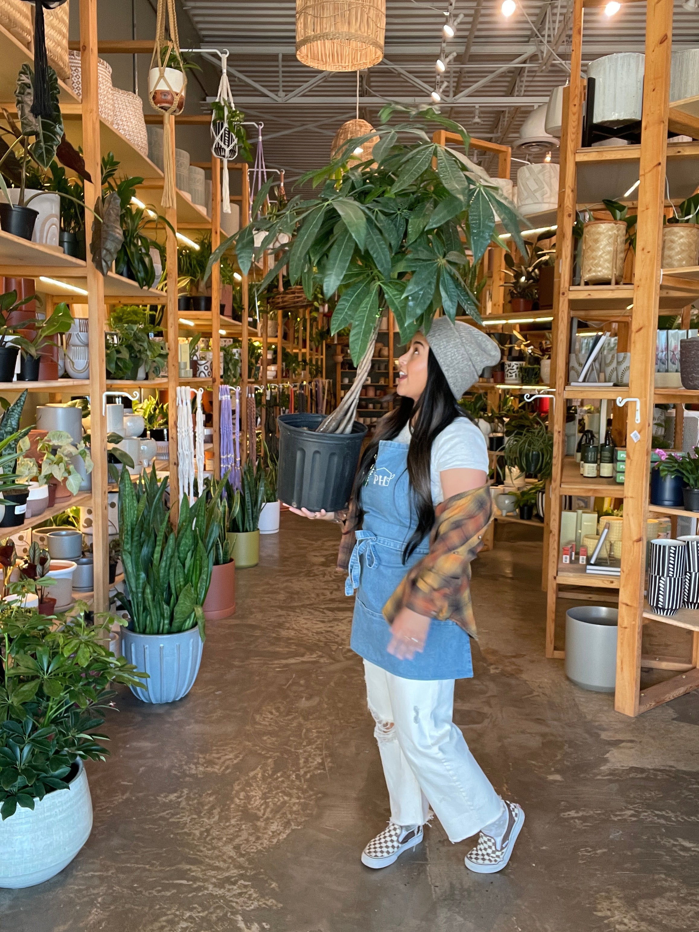 PlantHouse Waverly, NC | DIY Workshops & House Plant Store