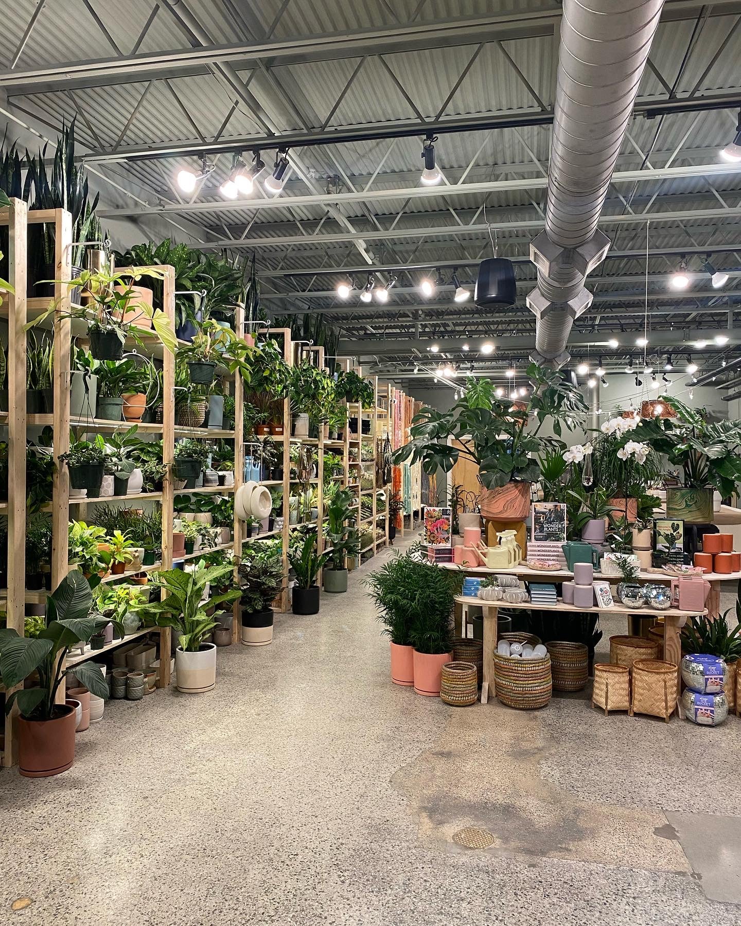 PlantHouse Asheville, NC | DIY Workshops & House Plant Store