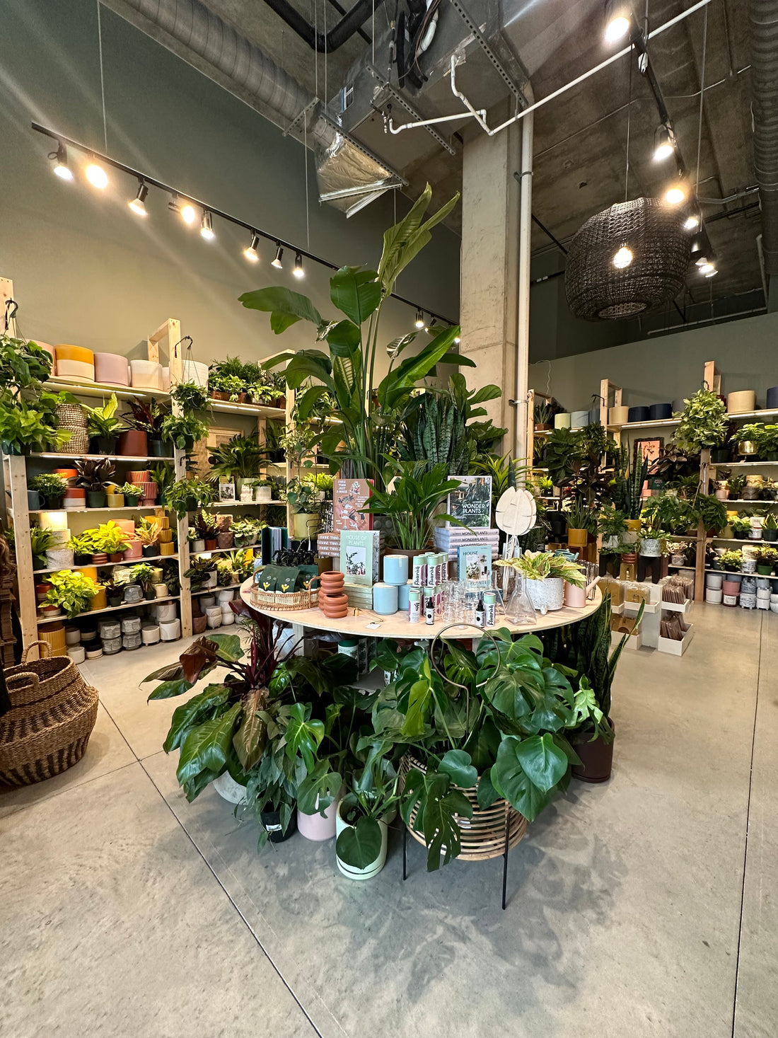 PlantHouse Richmond, VA | DIY Workshops & House Plant Store