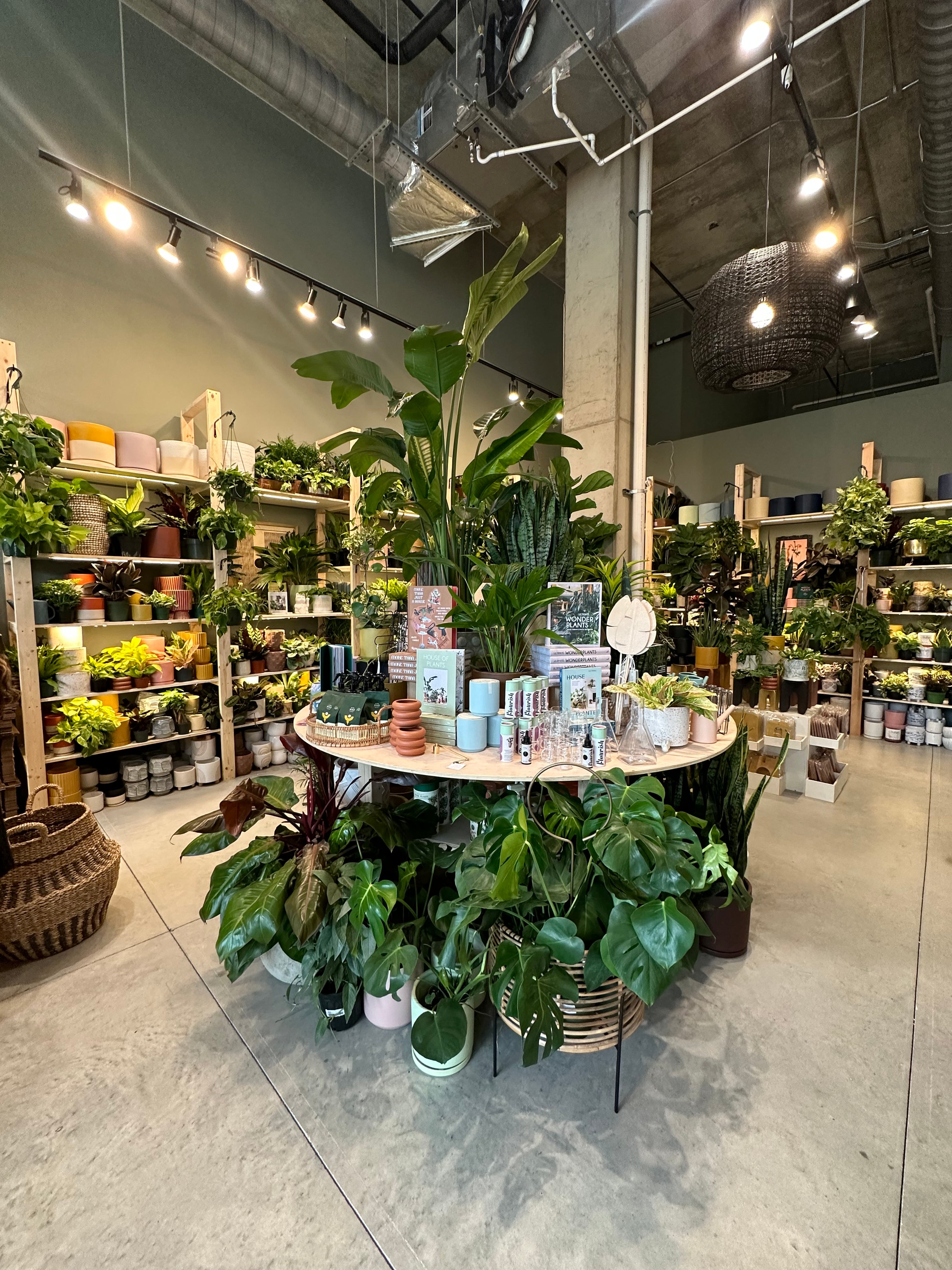 PlantHouse Richmond, VA | DIY Workshops & House Plant Store