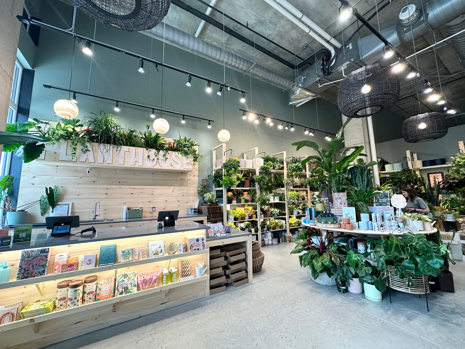 PlantHouse Richmond, VA | DIY Workshops & House Plant Store