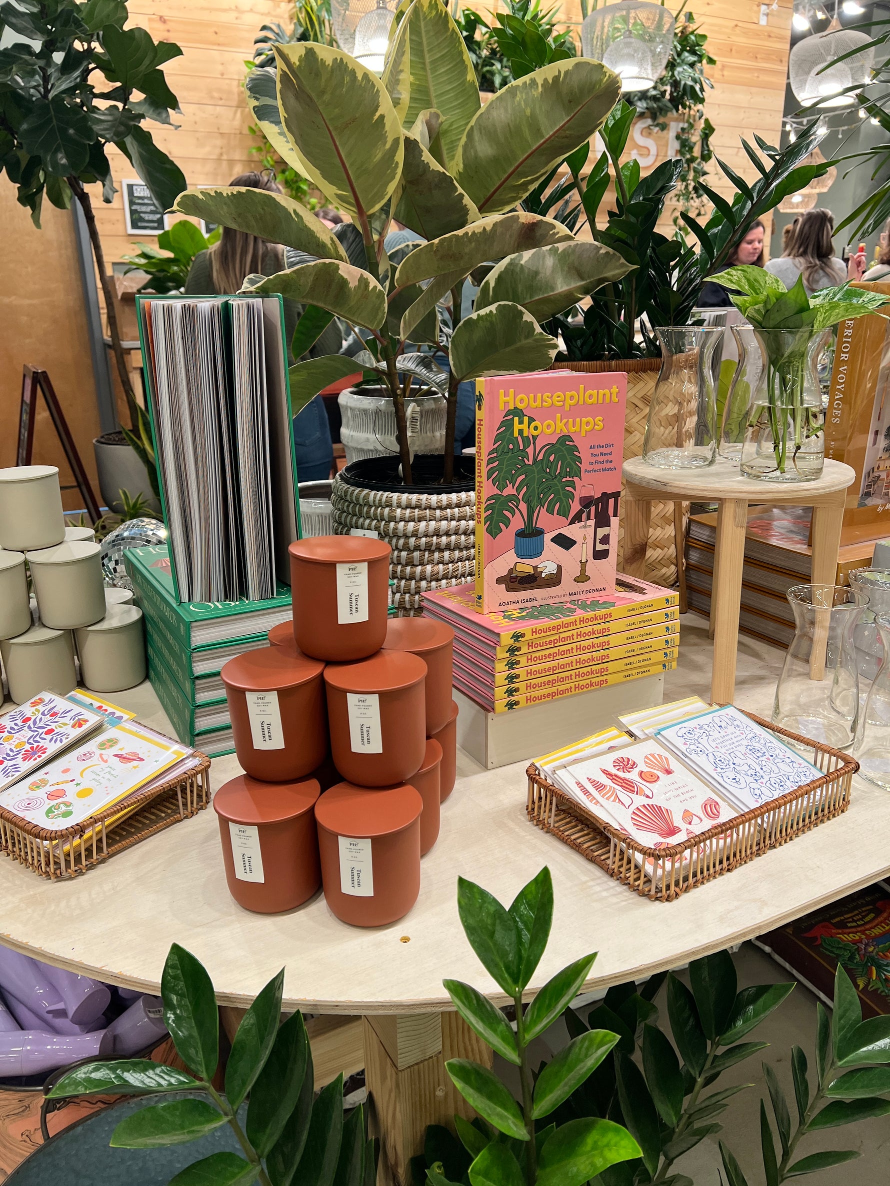 PlantHouse Huntersville, NC | DIY Workshops & House Plant Store