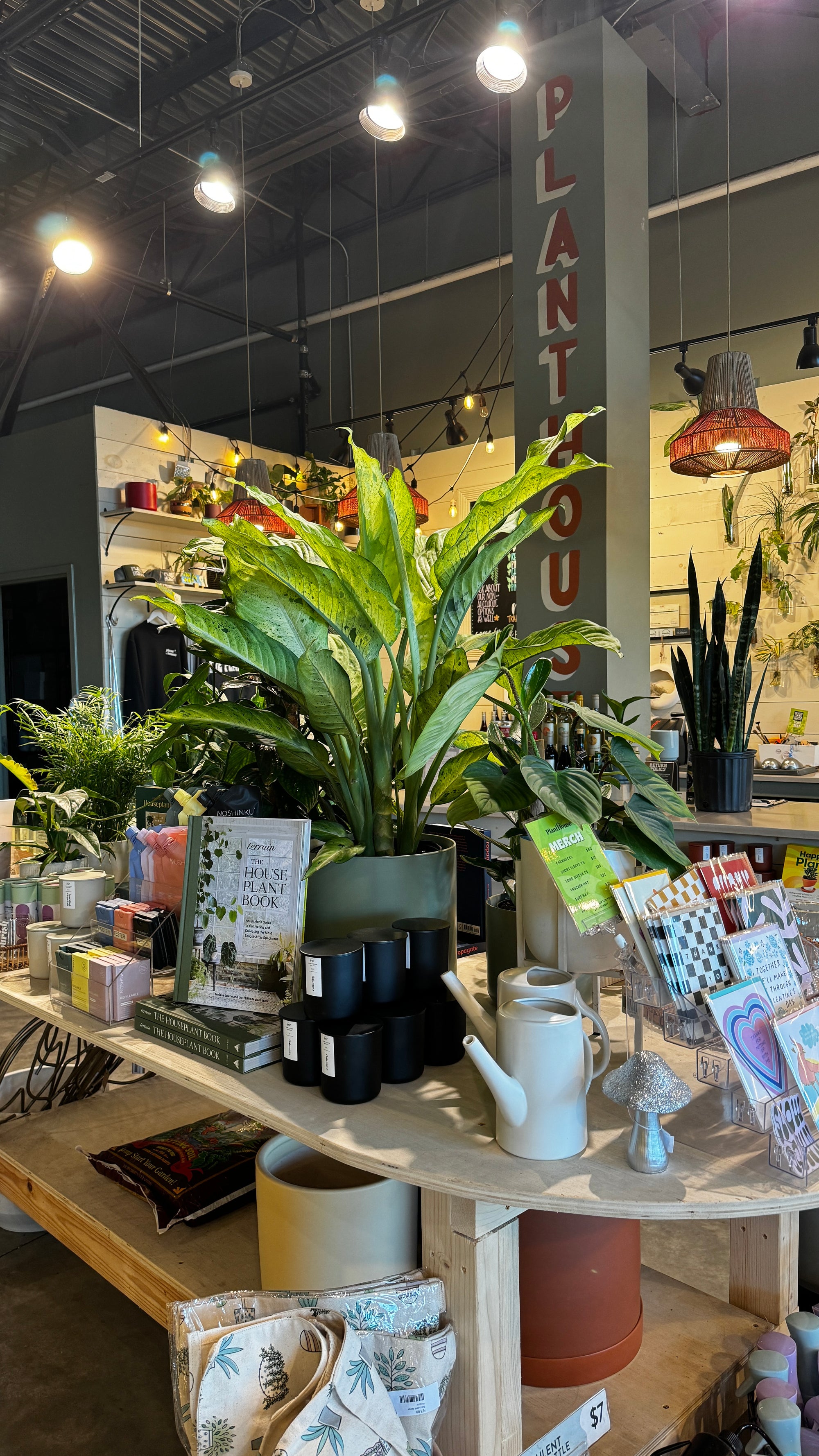 PlantHouse Charlotte, NC | DIY Workshops & House Plant Store