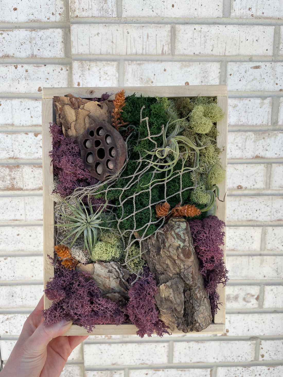 PlantHouse Richmond, VA | DIY Workshops & House Plant Store