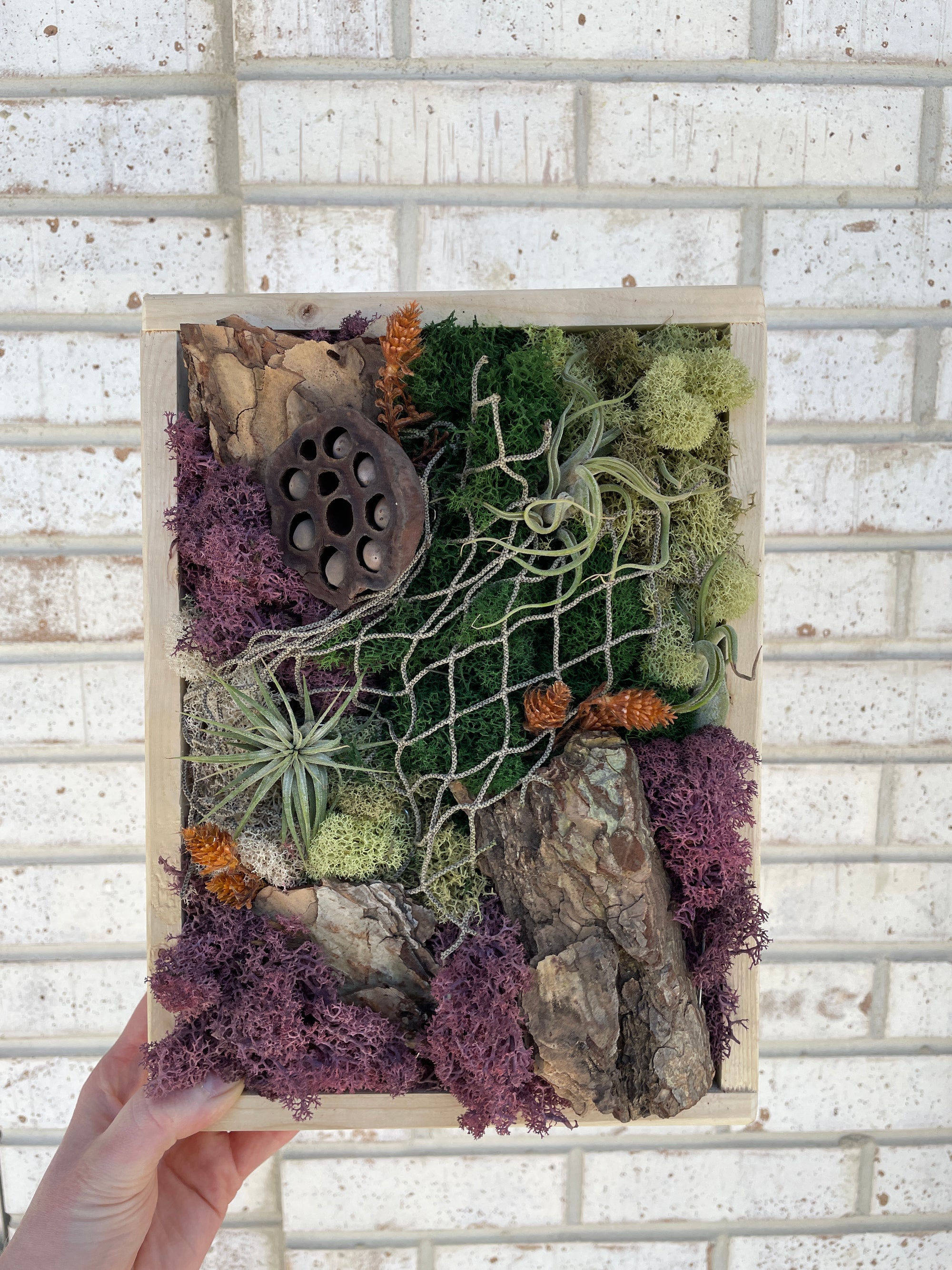 PlantHouse Richmond, VA | DIY Workshops & House Plant Store