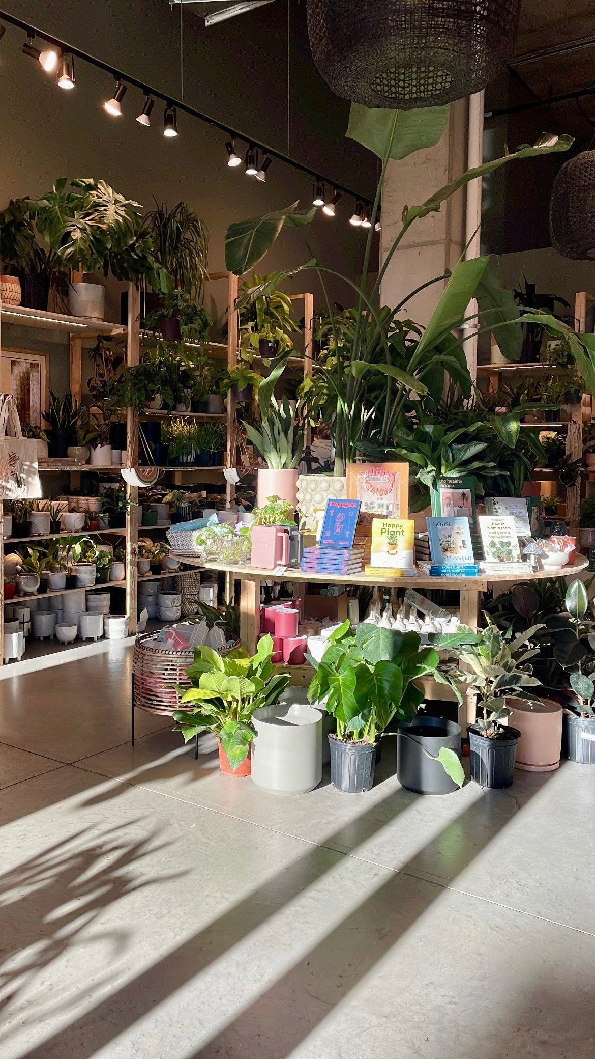PlantHouse Richmond, VA | DIY Workshops & House Plant Store